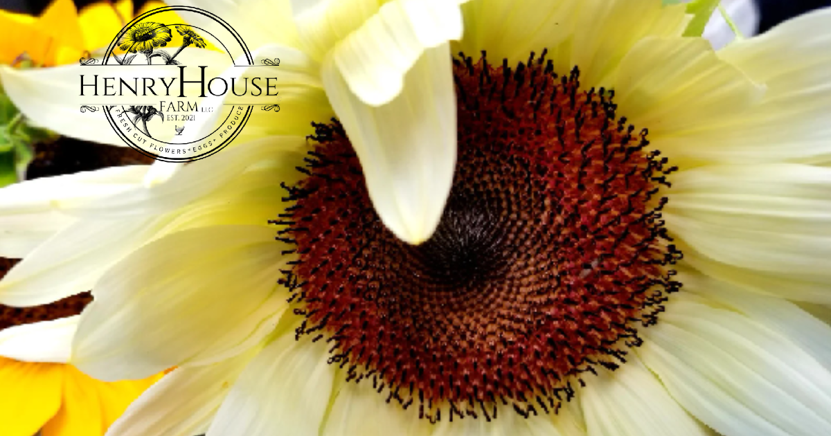 Henry House Farm website